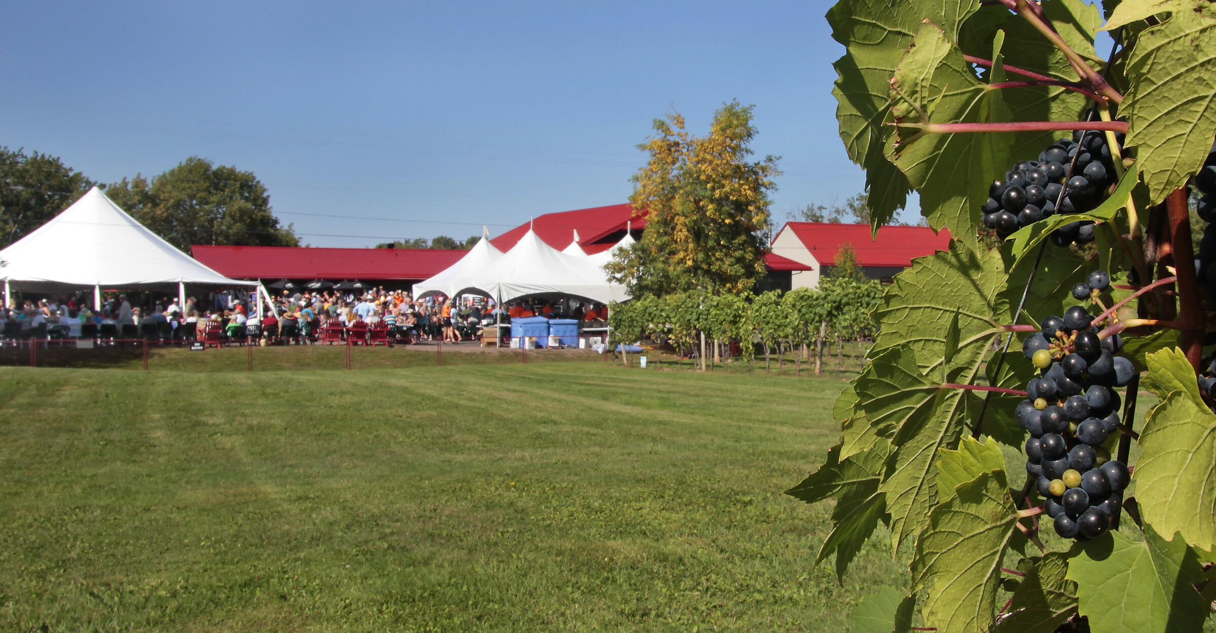Home of Jost Vineyards and Jost Tidal Bay | North Shore, Nova Scotia